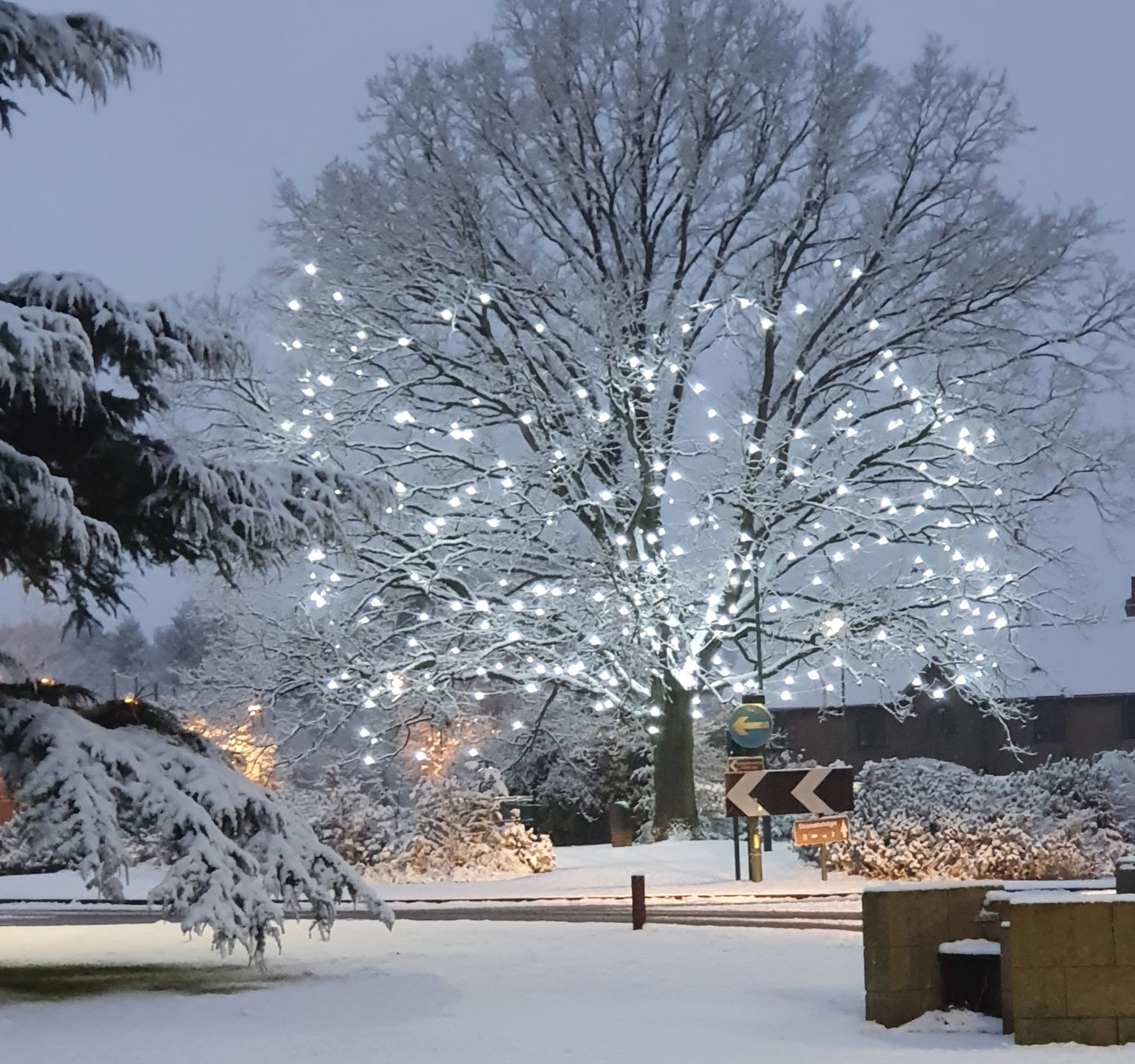 2024 -13 YewTreeFarm - Lunar Owners Club